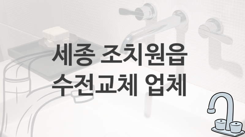 수도꼭지 수리 필요하세요? 세종 조치원읍 실력있는 곳 수리비용